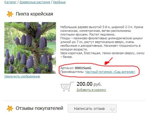 Интернет-магазин — «Русский базар»